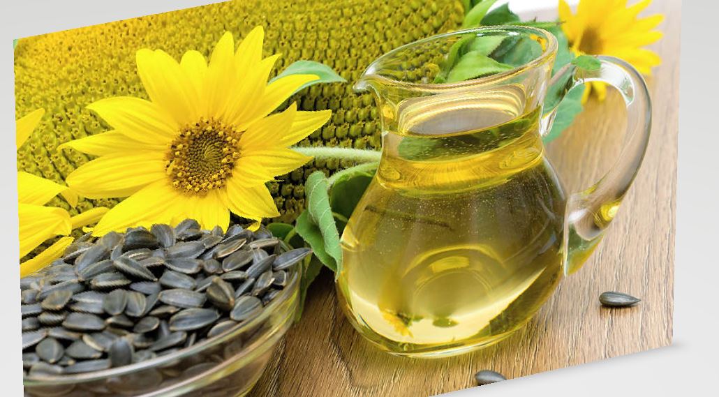 Wakulima walia na bei kubwa ya mbegu za Alizeti | ITV - Independent ...