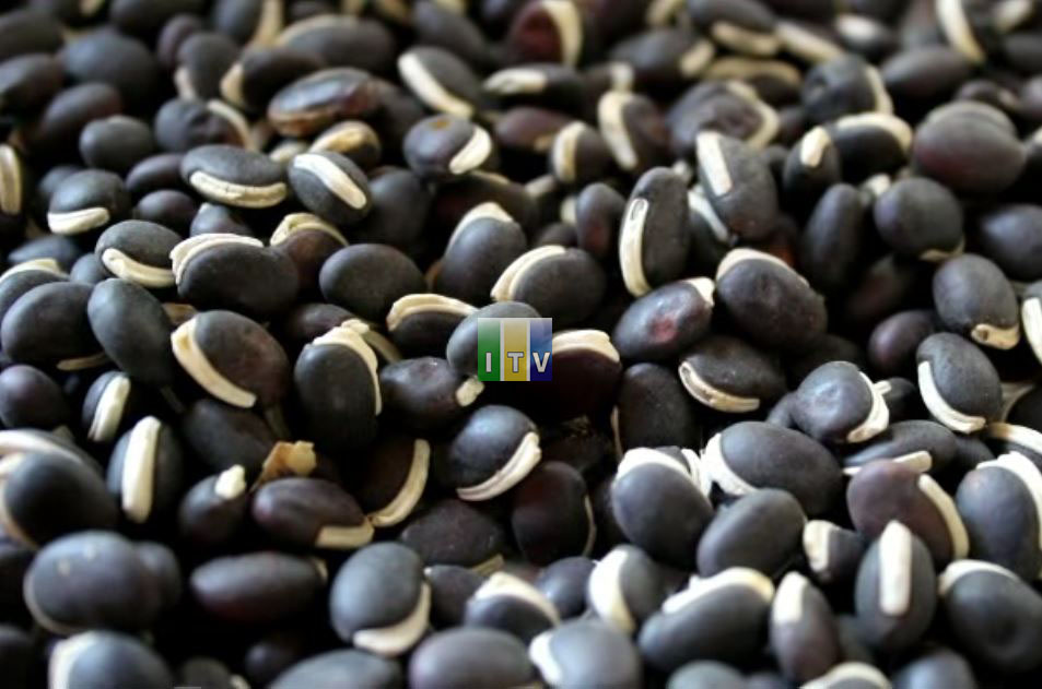 Zao la fiwi kuwa zao kuu la biashara kilimanjaro. | ITV - Independent ...