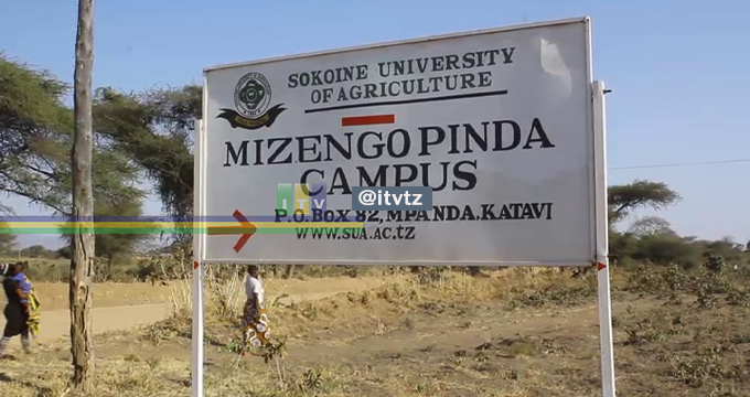Chuo cha SUA, Ndaki ya Mizengo Pinda yakabiliwa na uhaba wa Wahadhiri ...