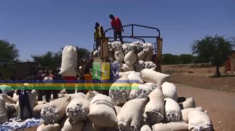 Shehena ya Pamba iliyokuwa inauzwa kiujanja ujanja yakamatwa simiyu ...