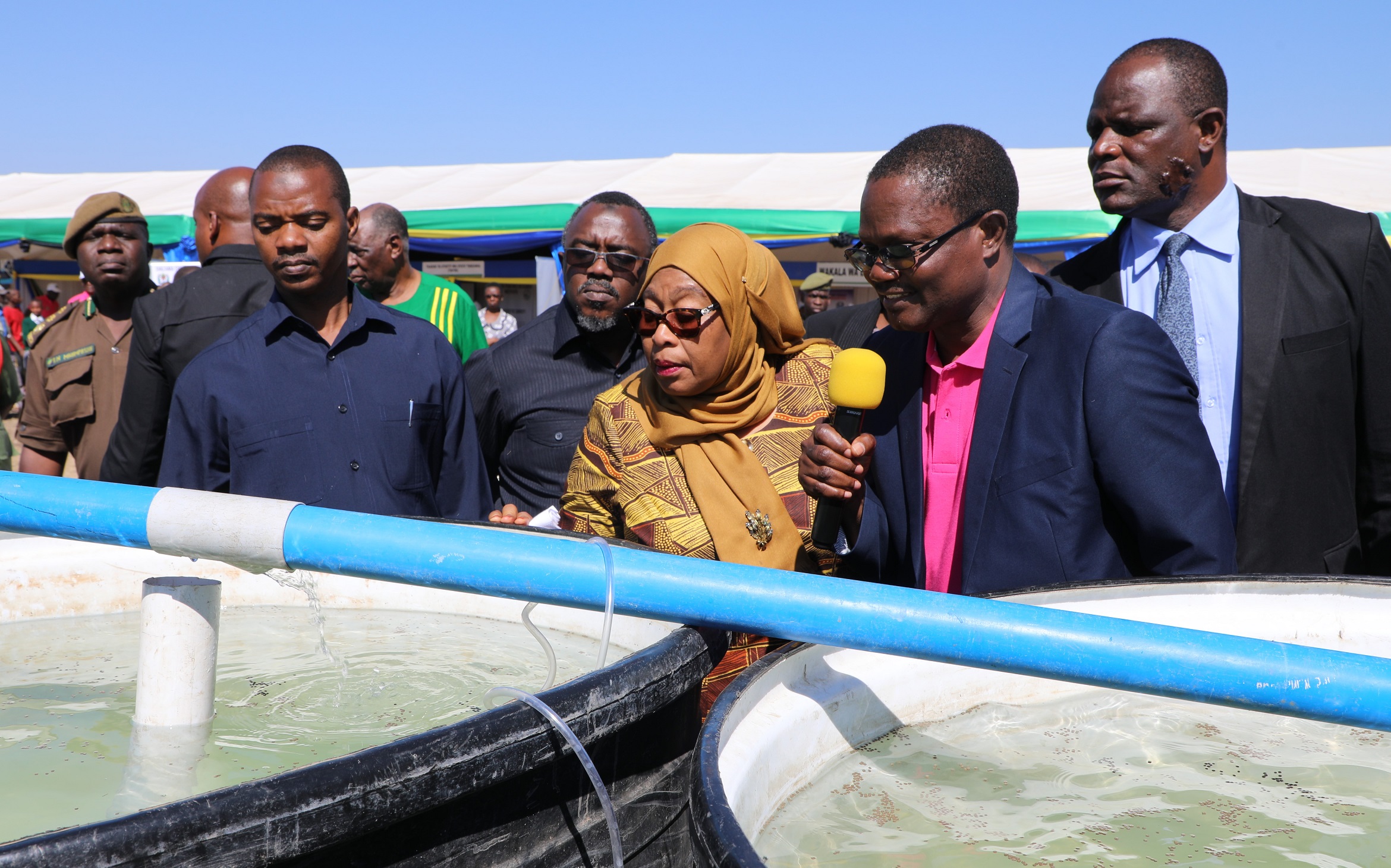 Makamu wa Rais azindua Sikukuu ya Nanenane Simiyu. | ITV - Independent ...