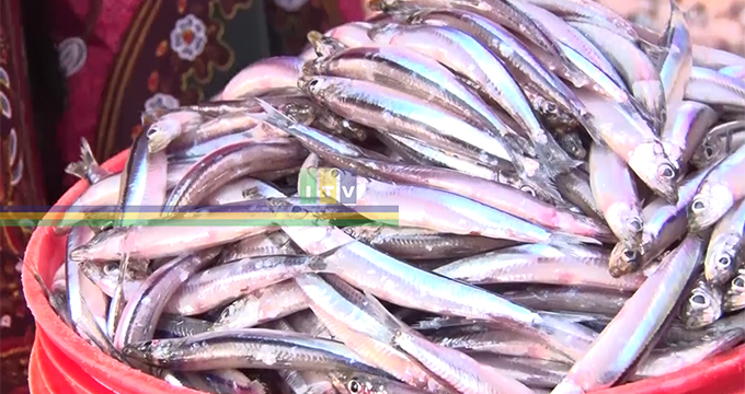 Wavuvi Ziwa Tanganyika waomba maboresho ya mazingira ya uvuvi. | ITV ...